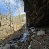 King's Bluff Loop Trail, Arkansas - 373 Reviews, Map | AllTrails