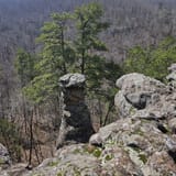 King's Bluff Loop Trail, Arkansas - 373 Reviews, Map | AllTrails