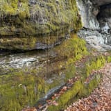 Tanbark Loop, New York - 621 Reviews, Map | AllTrails