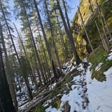 Duckabush River Trail to Five Mile Camp, Washington - 882 Reviews, Map ...