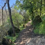 Hidden Falls Trail, California - 3,623 Reviews, Map | AllTrails