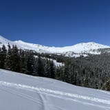 Butler Gulch Trail, Colorado - 2,490 Reviews, Map | AllTrails