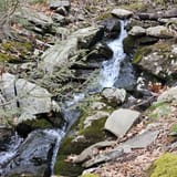 Whitestone Cliffs Trail, Connecticut - 609 Reviews, Map | AllTrails