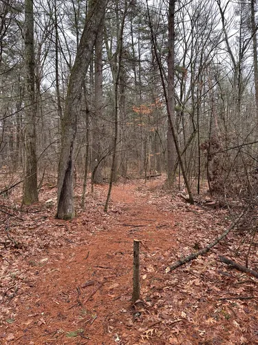 Best Hikes and Trails in West Boxford | AllTrails