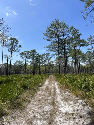 Best Views Trails in Jay B. Starkey Wilderness Park | AllTrails