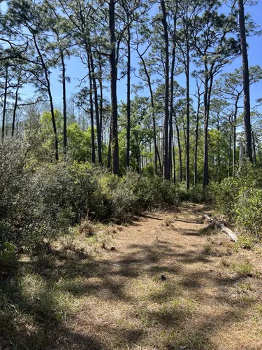 Best Views Trails in Jay B. Starkey Wilderness Park | AllTrails