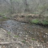 ChesLen Preserve Yellow Loop, Pennsylvania - 640 Reviews, Map | AllTrails