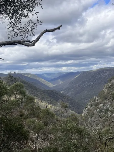 Best Hard Trails in Oxley Wild Rivers National Park | AllTrails
