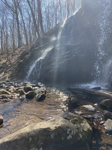 Best Long Trails in Meshomasic State Forest | AllTrails