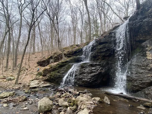 Best Long Trails in Meshomasic State Forest | AllTrails