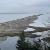 Dungeness Spit Trail, Washington - 1,565 Reviews, Map | AllTrails