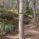 Abby Grind, British Columbia, Canada - 2,116 Reviews, Map | AllTrails