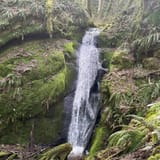 Chuckanut Falls, Washington - 626 Reviews, Map | AllTrails