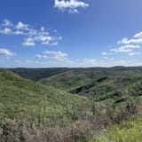 Riverhead Forest Loop Track, Auckland, New Zealand - 122 Reviews, Map ...