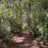 Riverhead Forest Loop Track, Auckland, New Zealand - 122 Reviews, Map ...