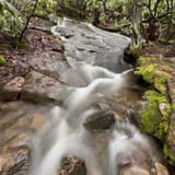 Sand Spring Trail, Pennsylvania - 344 Reviews, Map | AllTrails