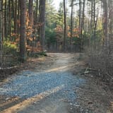 Reading Town Forest Inner Loop, Massachusetts - 418 Reviews, Map ...