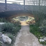 Pima Canyon Trail, Arizona - 2,622 Reviews, Map | AllTrails