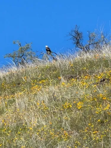 Best Lake Trails in Sanger | AllTrails