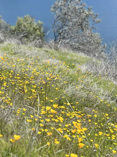 Best Lake Trails in Sanger | AllTrails