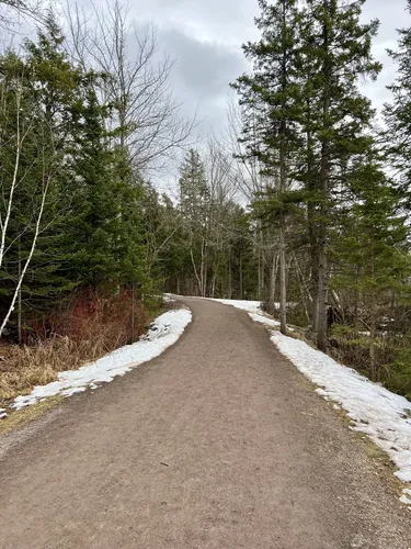 Best Wheelchair Friendly Trails in Mapleton Park | AllTrails