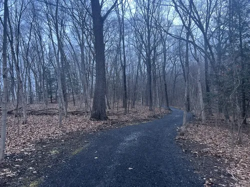 Best Hikes and Trails in Colonie Mohawk River Park | AllTrails