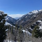 Lower Mill B North Fork Trail, Utah - 1,627 Reviews, Map | AllTrails