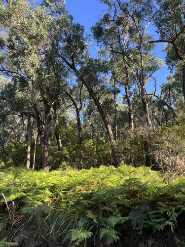 Best Hikes and Trails in Pakenham | AllTrails