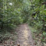 Bukit Serdang Trail, Selangor, Malaysia - 339 Reviews, Map | AllTrails