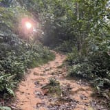 Bukit Serdang Trail, Selangor, Malaysia - 339 Reviews, Map | AllTrails