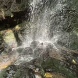 Makiki Valley Loop, Oahu, Hawaii - 5,641 Reviews, Map | AllTrails