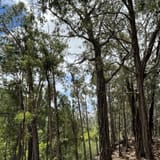 Makiki Valley Loop, Oahu, Hawaii - 5,641 Reviews, Map | AllTrails