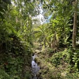 Makiki Valley Loop, Oahu, Hawaii - 5,641 Reviews, Map | AllTrails