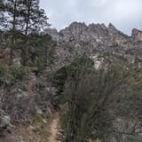 Pine Tree Trail, New Mexico - 2,106 Reviews, Map | AllTrails