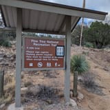 Pine Tree Trail, New Mexico - 2,106 Reviews, Map | AllTrails