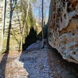 Panther Den Loop, Illinois - 946 Reviews, Map | AllTrails