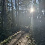 Forest Park Ridge Trail, Oregon - 1,267 Reviews, Map | AllTrails