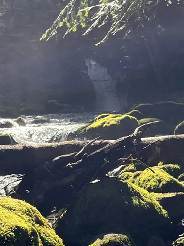 Best Hikes and Trails in Fossli Provincial Park | AllTrails