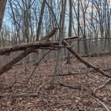 Fitzgerald Falls Trail, New York - 391 Reviews, Map | AllTrails