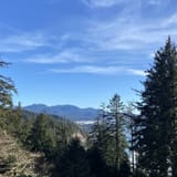 Clatsop Loop Trail from Indian Beach, Oregon - 2,616 Reviews, Map ...