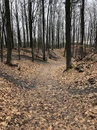 Trail Hub: de beste routes om te wandelen | AllTrails