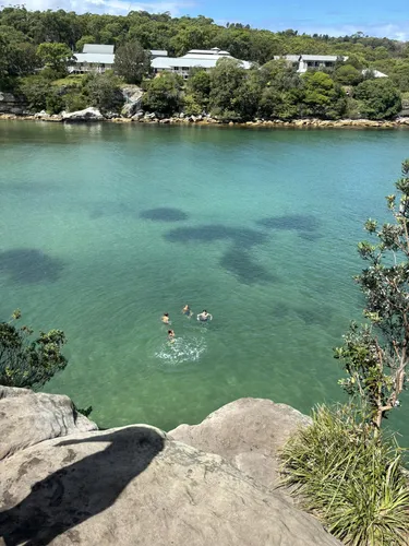 Best Hikes and Trails in Little Manly Point | AllTrails
