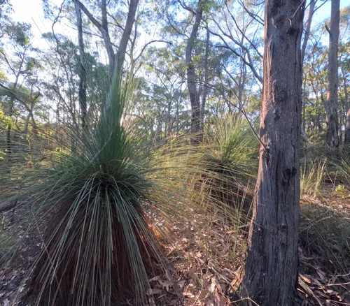 Best Hikes and Trails in Gisborne | AllTrails