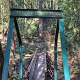 Tryon Creek Triple Bridge Loop, Oregon - 1,441 Reviews, Map | AllTrails