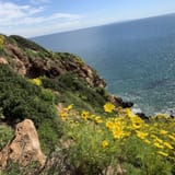 Point Dume Cove Trail, California - 1,590 Reviews, Map | AllTrails