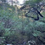 Clementine Trail to Lake Clementine, California - 4,307 Reviews, Map ...