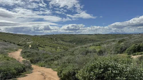 10 Best Trails and Hikes in Riverside | AllTrails