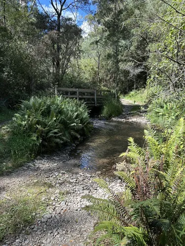 Best Camping Trails in Mount Beauty - Tawonga South | AllTrails