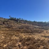 Mount Cooke Loop, Western Australia, Australia - 583 Reviews, Map ...