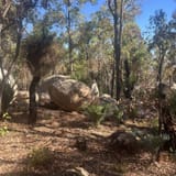 Mount Cooke Loop, Western Australia, Australia - 583 Reviews, Map ...